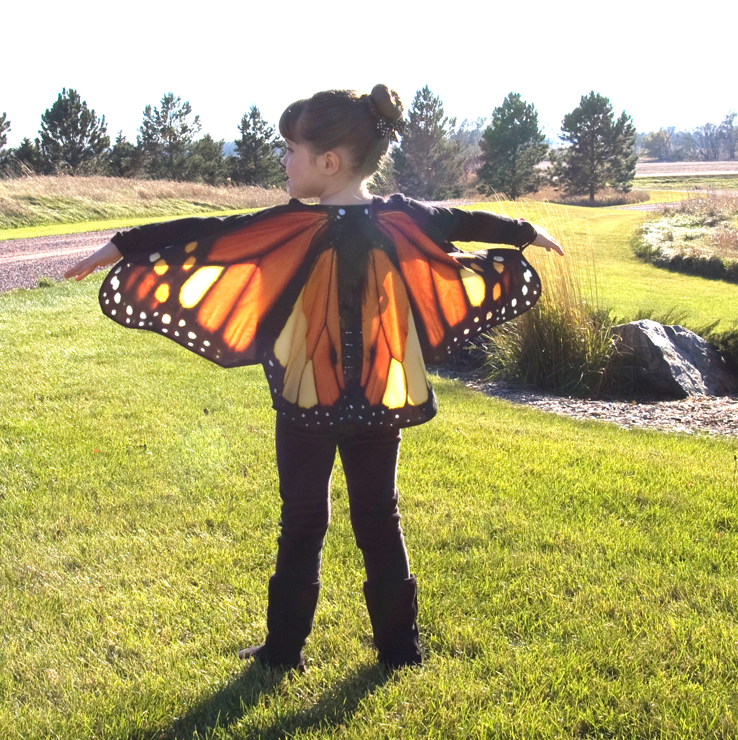 How To Make Fabric Butterfly Wings